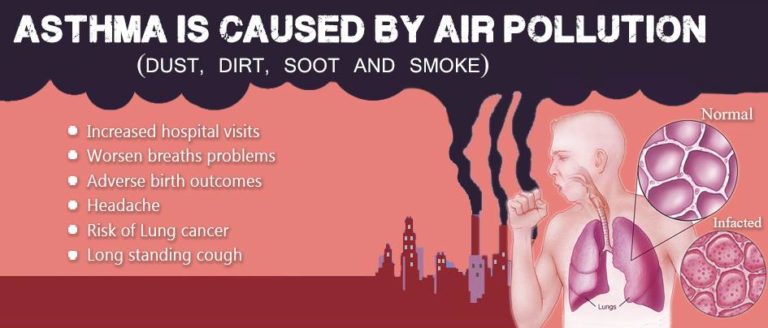 Asthma is Caused by Air Pollution